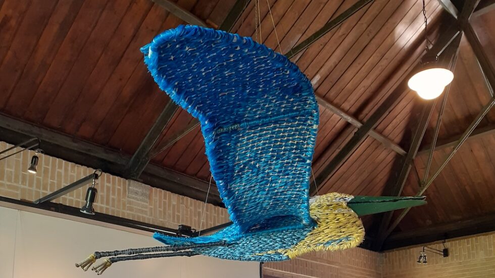 Steven Sterk opent tentoonstelling - It Damshûs